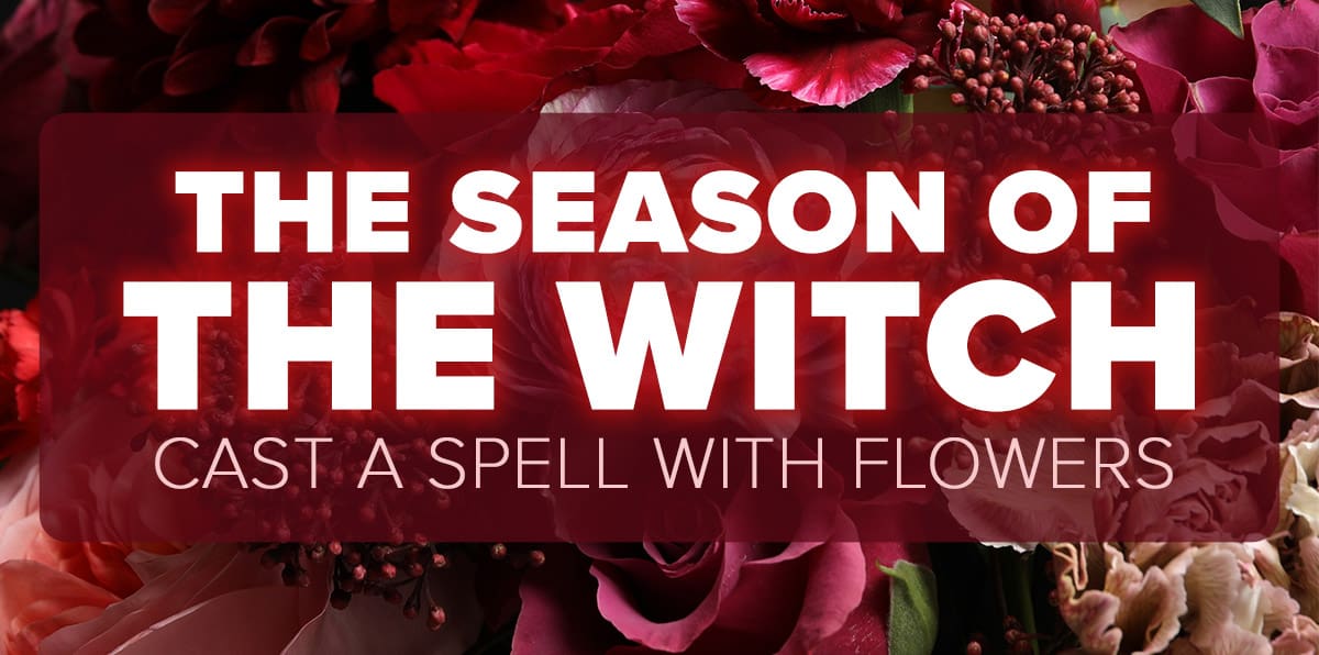 Magical Halloween Blooms with Spooky Symbolism - Al's Florist & Gifts